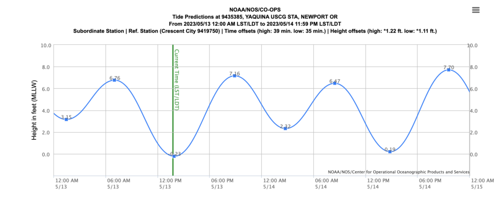 Everything You Need to Know About Tide Pooling on the Oregon Coast ...