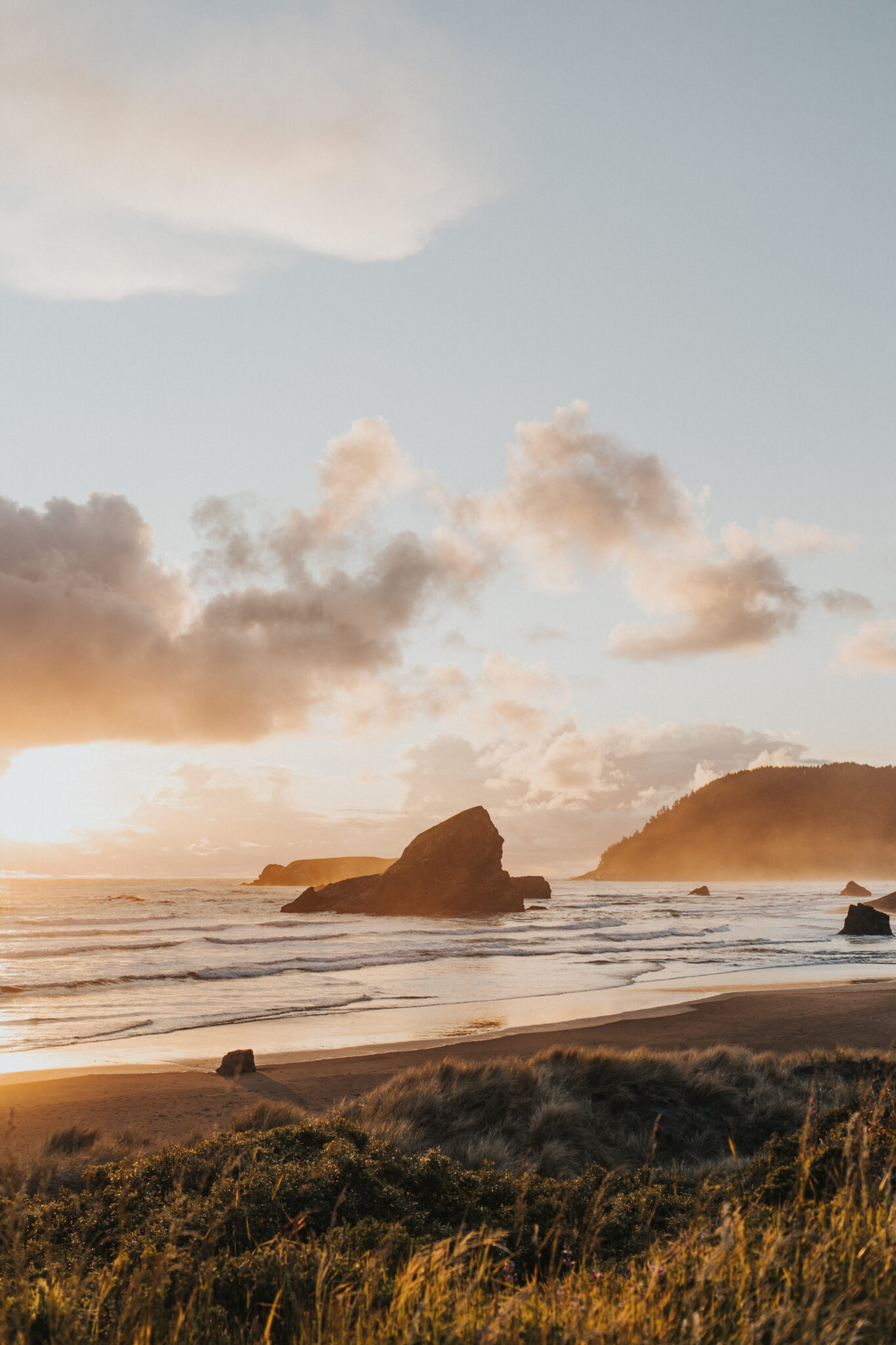 Everything You Need to Know About Tide Pooling on the Oregon Coast ...
