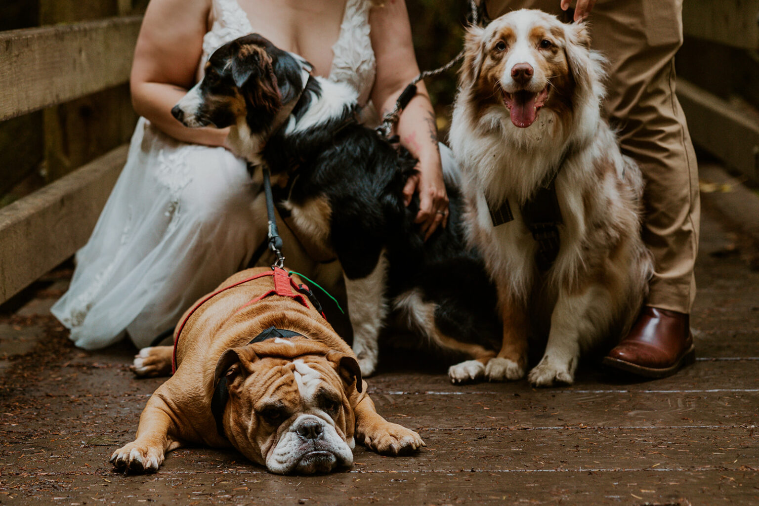 How to Elope in Olympic National Park Elopement | Showit Blog