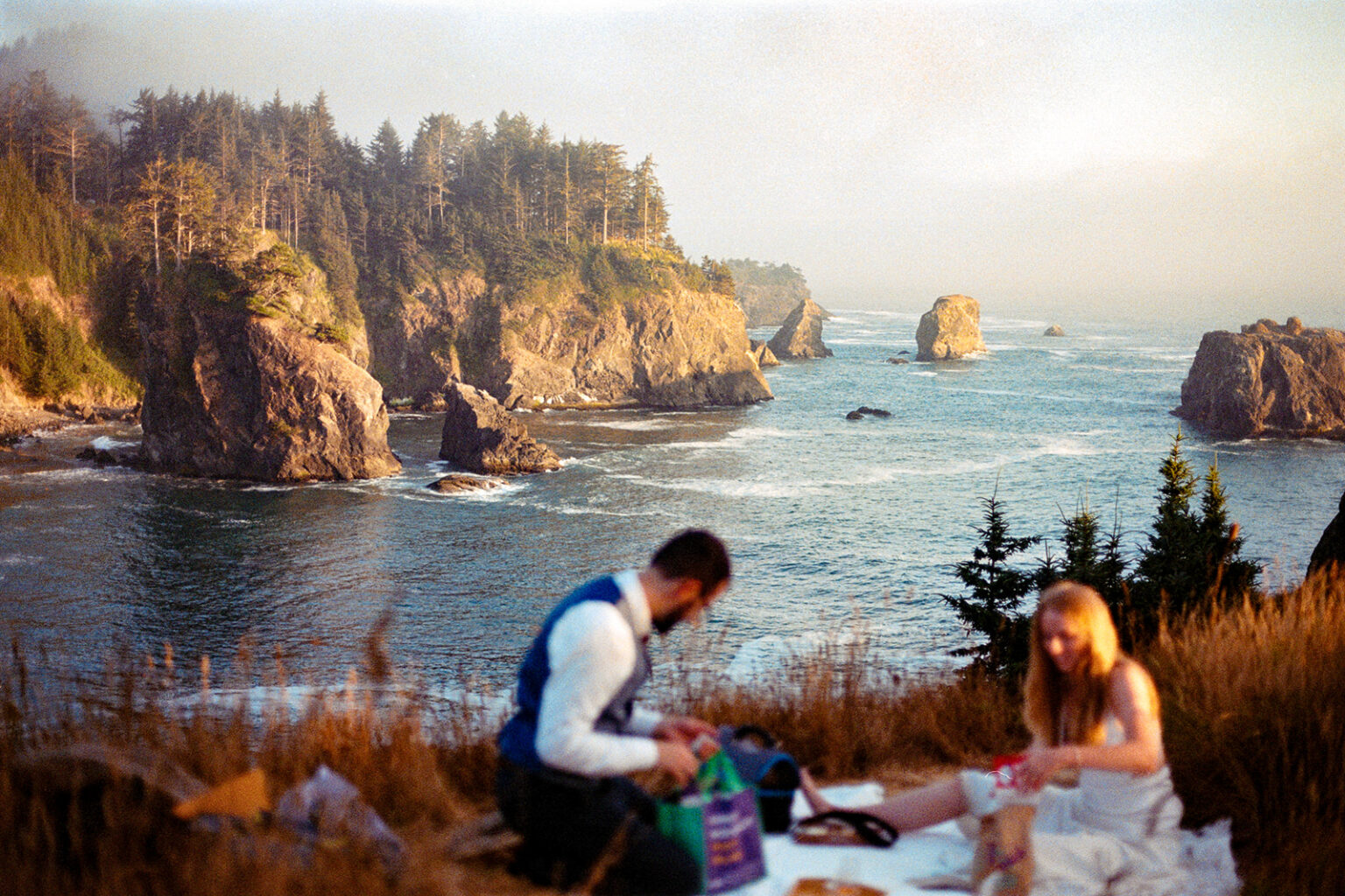 Oregon Coast Elopement in Brookings, OR | Showit Blog